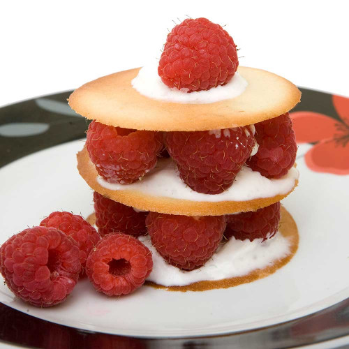 Buy Tuile Templates and Free Recipes Online